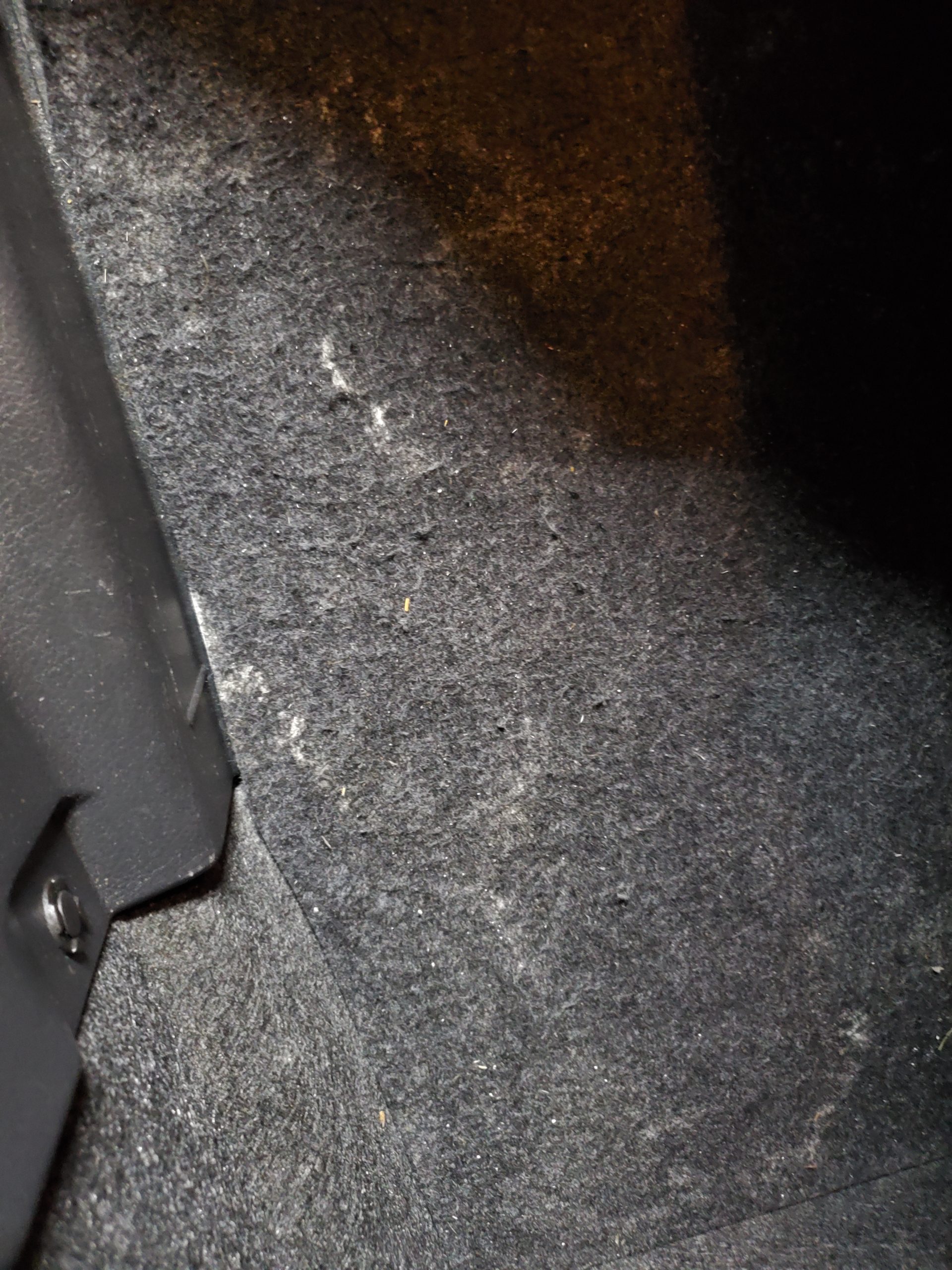 Nextzett Plastik Reiniger Plastic Deep Cleaner – A Specialty Cleaner ...