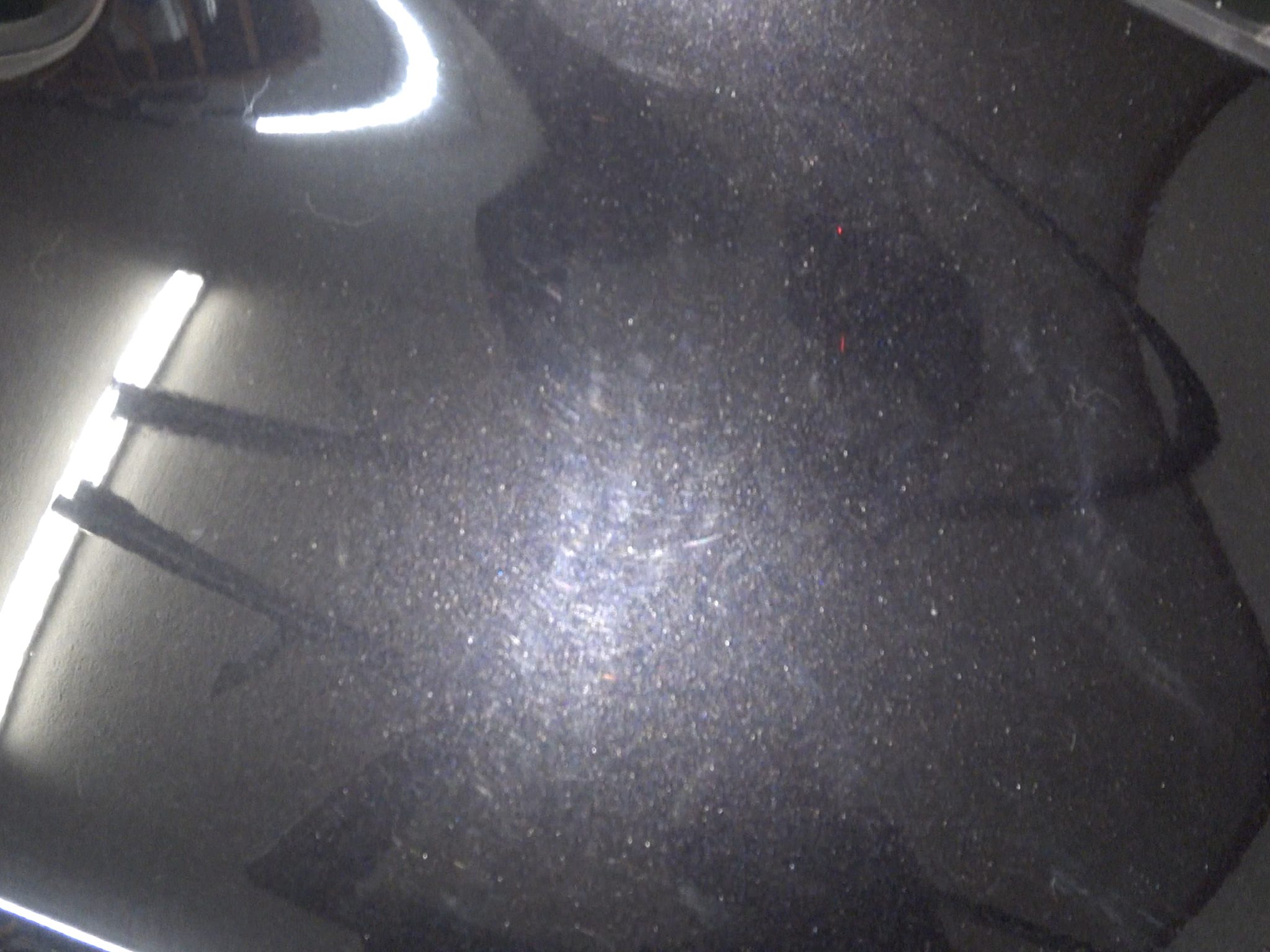 A Few Special Interest Cars – Auto Detailing Vlog 1 – Ask a Pro Blog