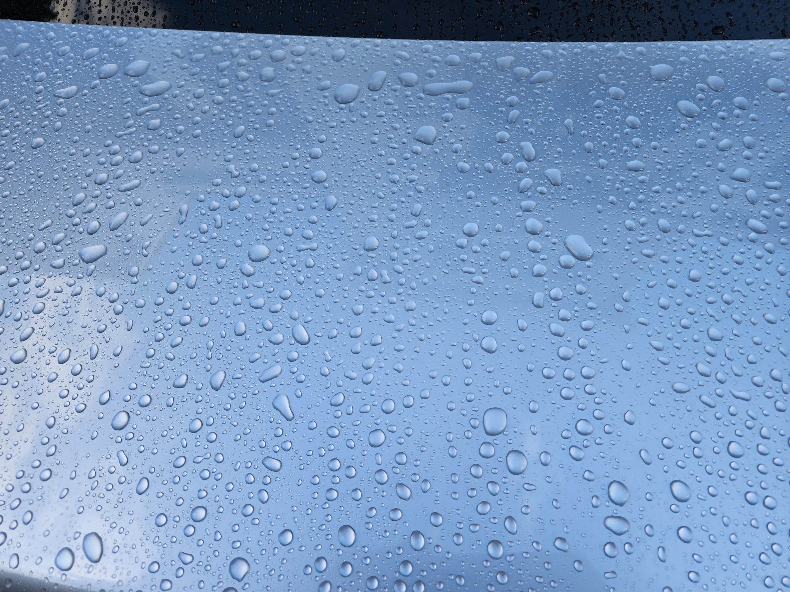 20221017_175029 – Ask a Pro Blog