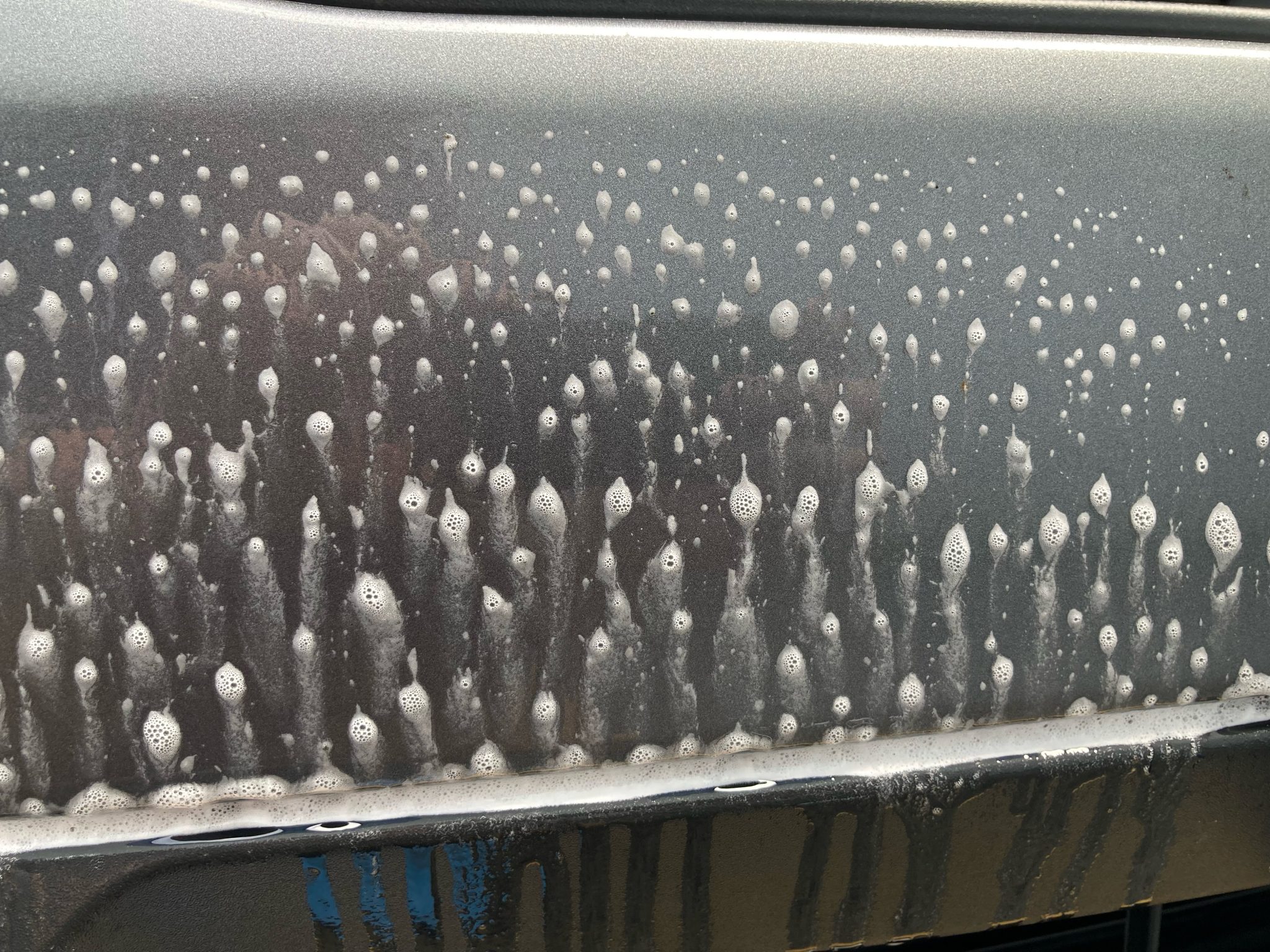 Safe Removal of Bug Splatter – Ask a Pro Blog
