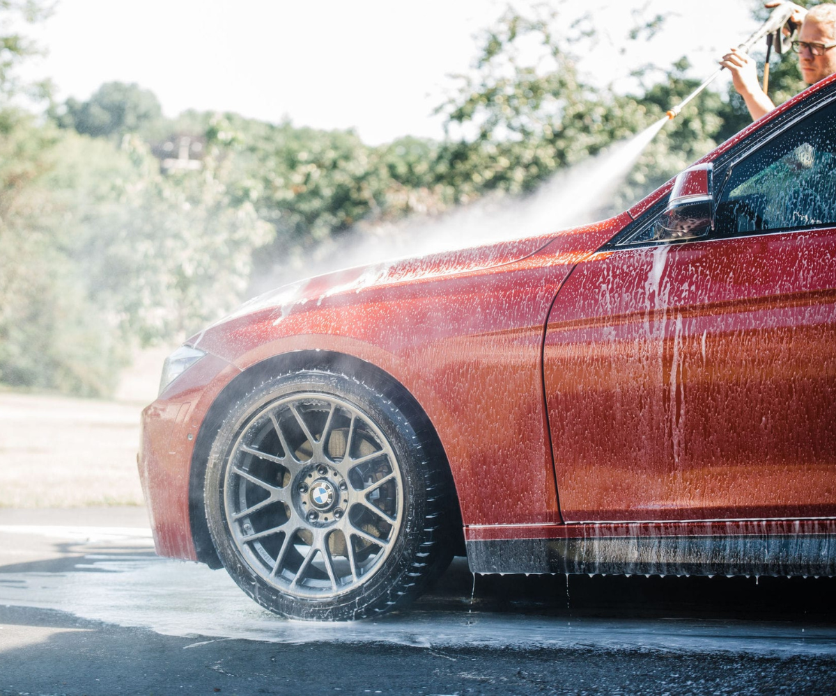 Unlocking the Plant Power of Oberk APS : A Comprehensive Guide Of The ...